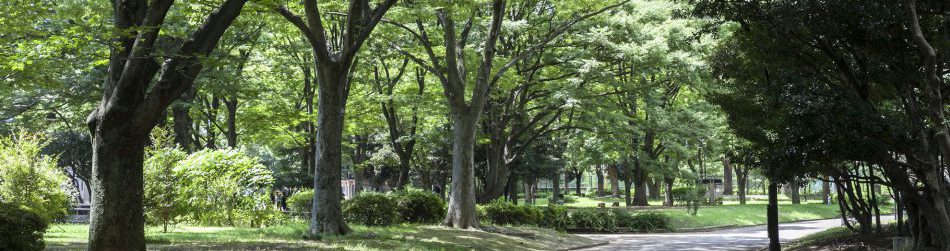 RUNNING STATION TRANSIT