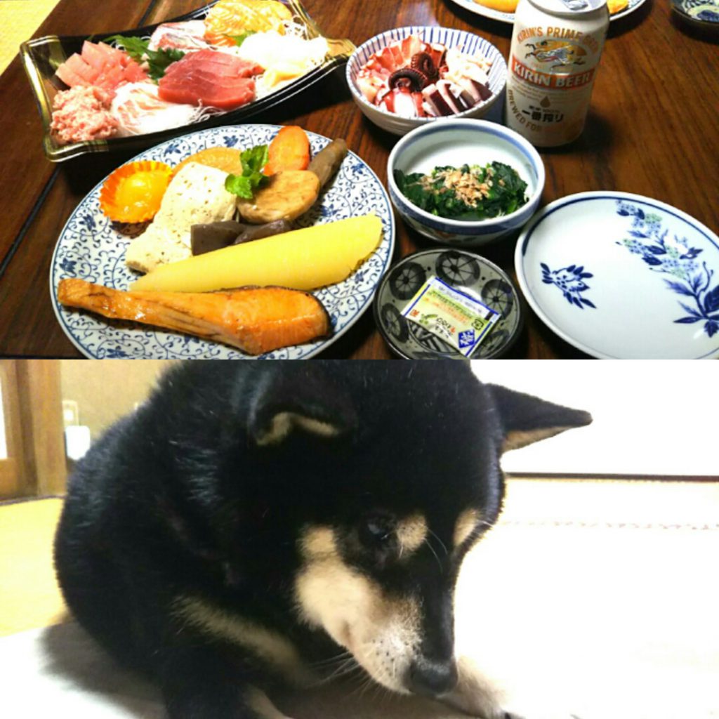 【2016年 最終日】 | SUNNY-SUPPORT MEMBERS