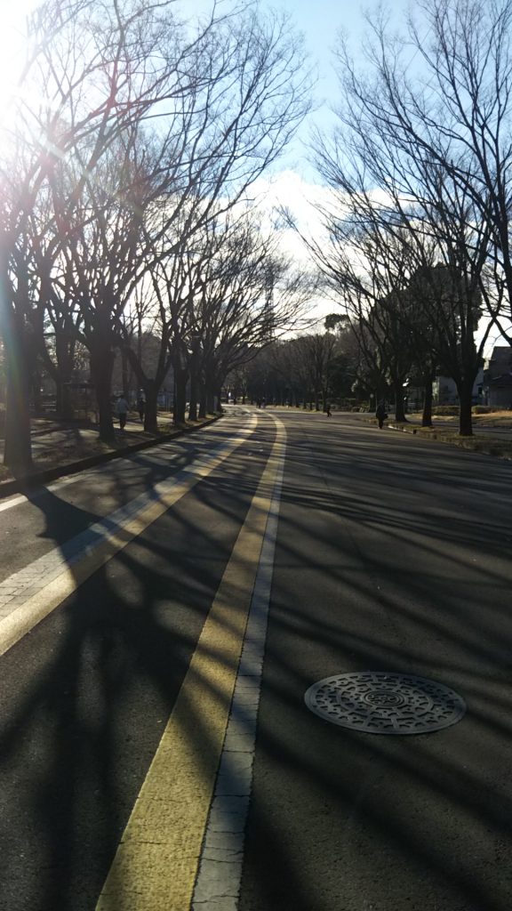 【フォームを意識して】 | SUNNY-SUPPORT MEMBERS